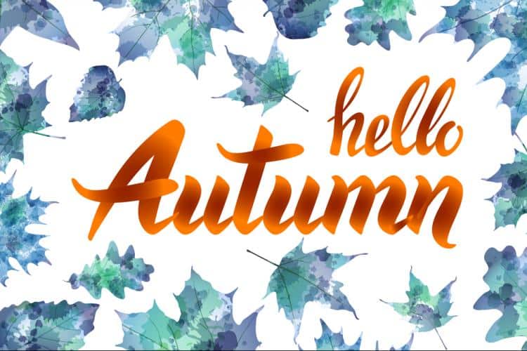 Top Things To Do In Virginia Beach During Fall