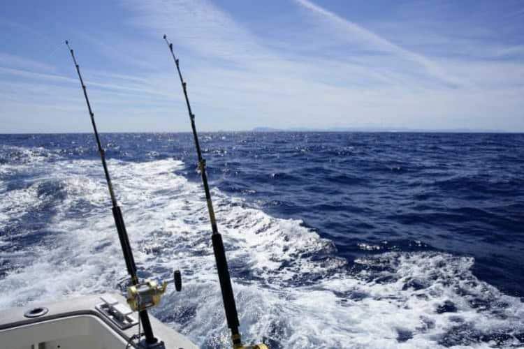 World-Class Fishing in Virginia Beach > Virginia Beach