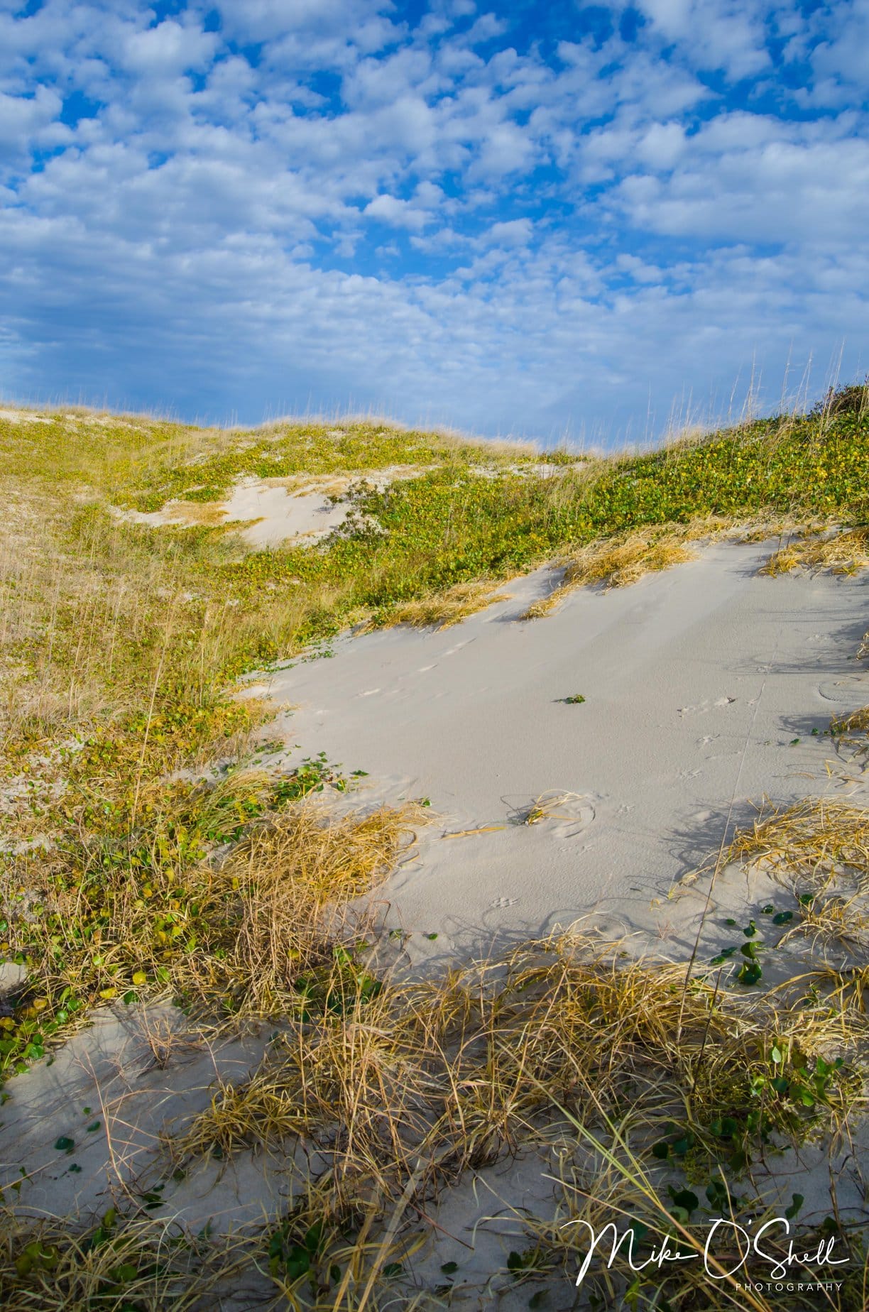 False Cape State Park | Virginia Beach